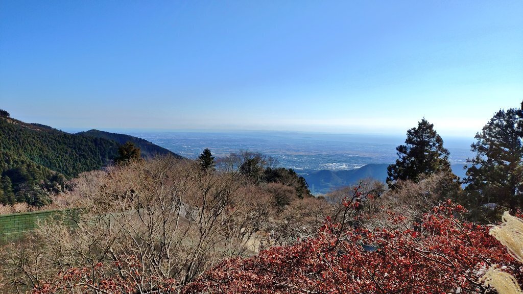 日記∣ほのぼので良い (2026.1.1～1.4)｜Sumi