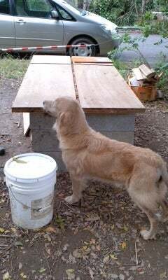 畑人1号の部下｜takichi