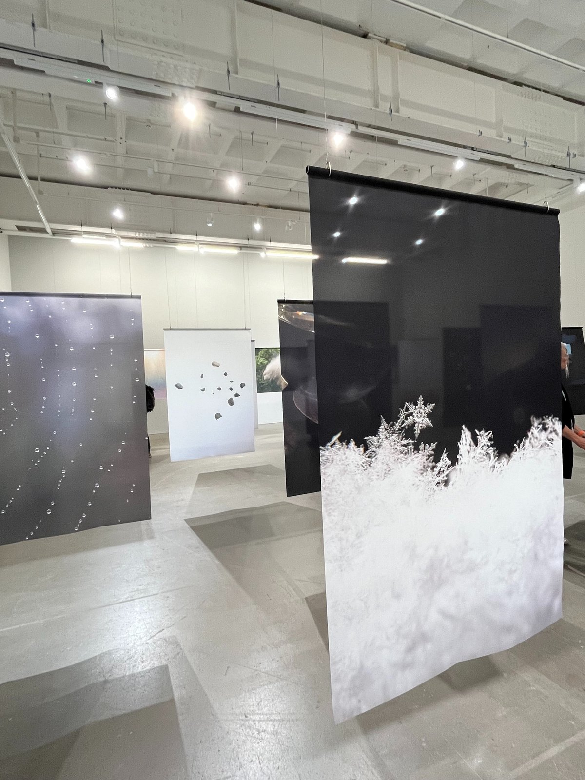 川内倫子 "At the edge of the everyday world" と、夜遊びの思い出｜Shoko Nagata / 永田晶子