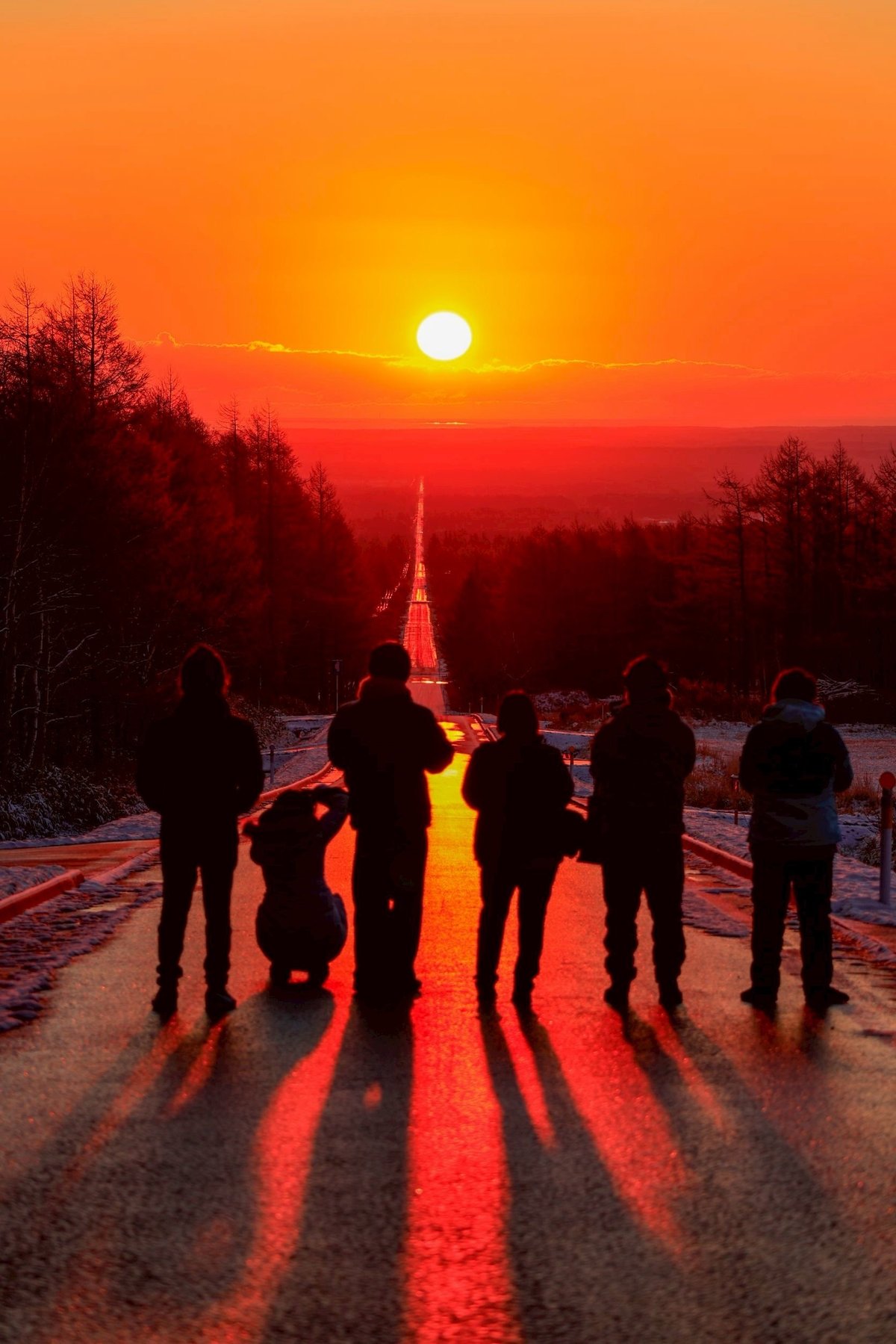 はじめまして｜Suzuki Ryotaro