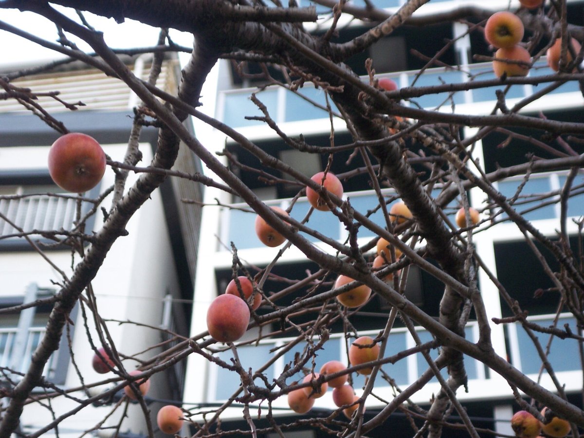 Kodak EasyShare V570の動画を出しました｜Masaki Kawano