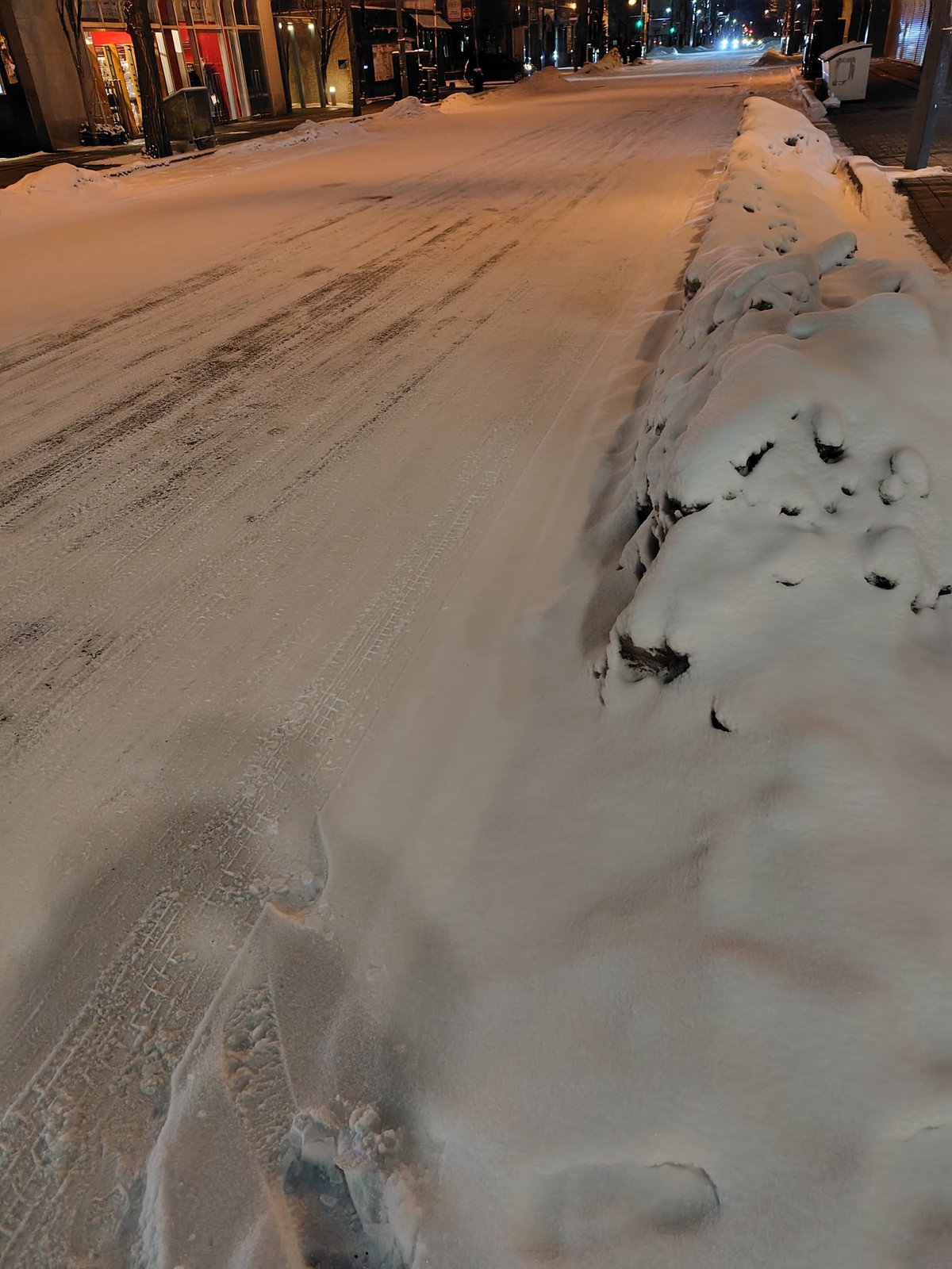 2026/01/13 ホワイトアウト☃｜橘 狐 茄子花（たちばな🦊ナスカ）