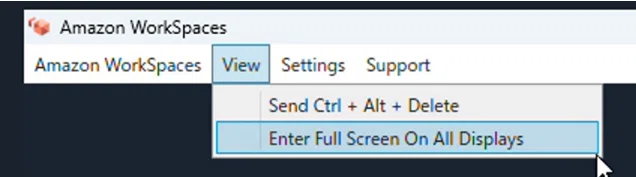 Amazon WorkSpaces Windows Clientのフルスクリーン切り替え方法まとめ｜nekoTheShadow