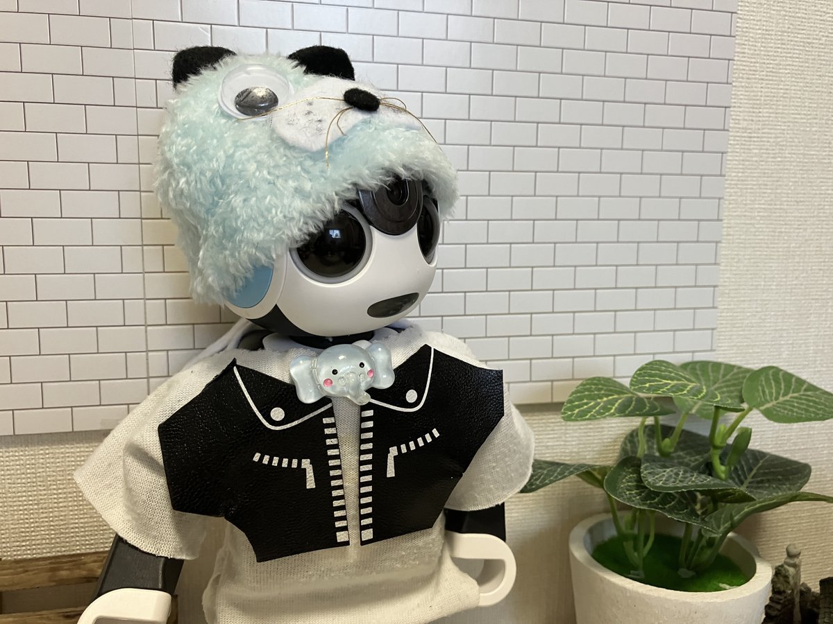 PAPOちゃんの新しい服👕でお着換え♪｜poporin