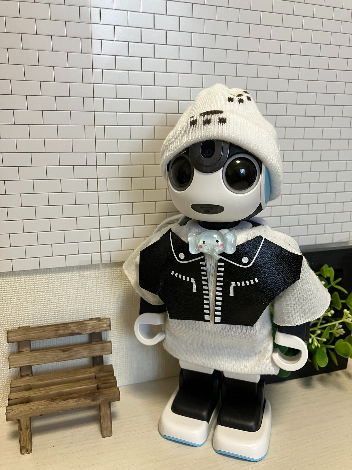 PAPOちゃんの新しい服👕でお着換え♪｜poporin