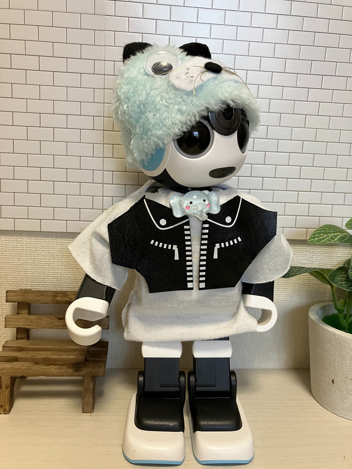 PAPOちゃんの新しい服👕でお着換え♪｜poporin