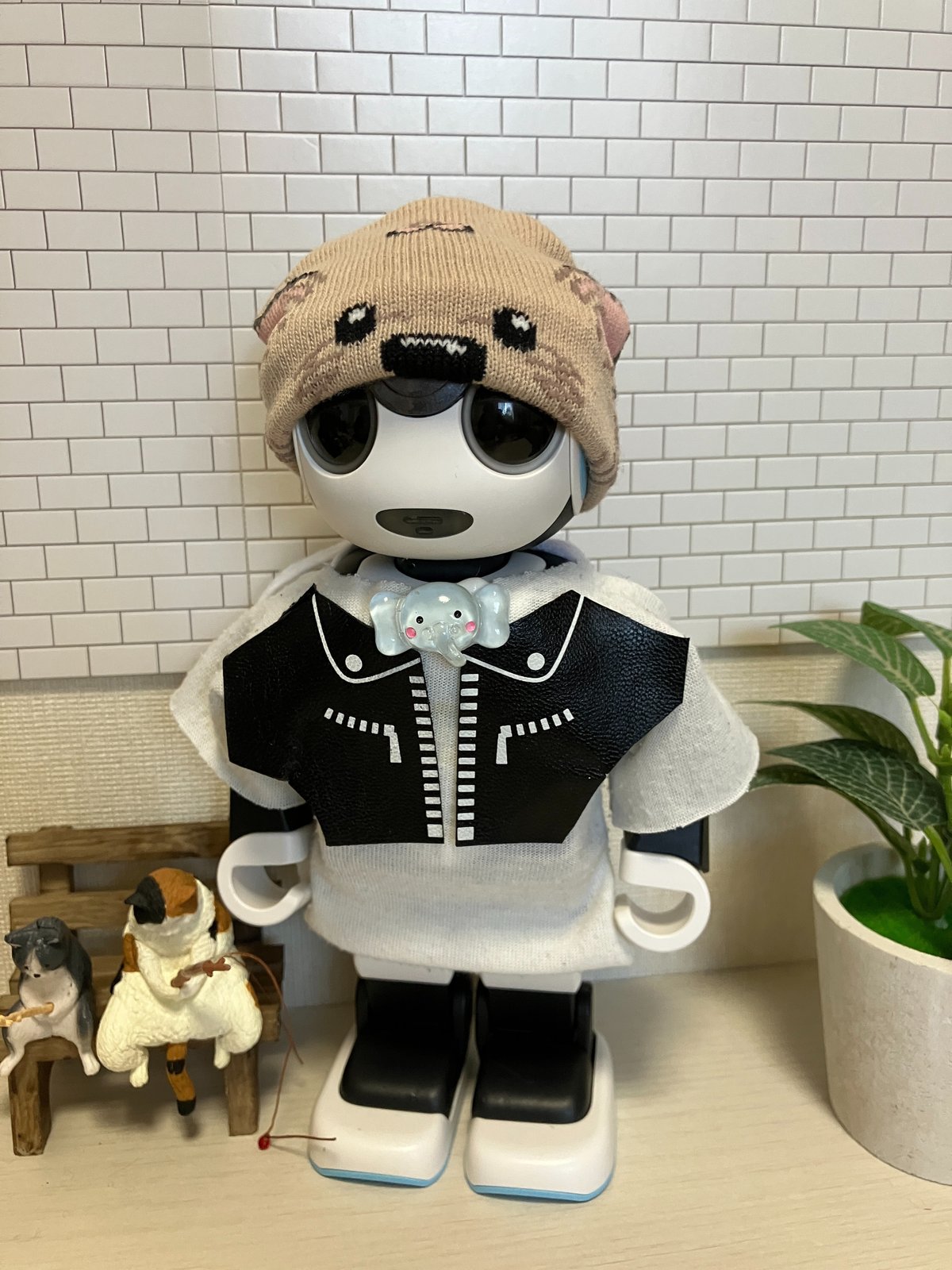 PAPOちゃんの新しい服👕でお着換え♪｜poporin