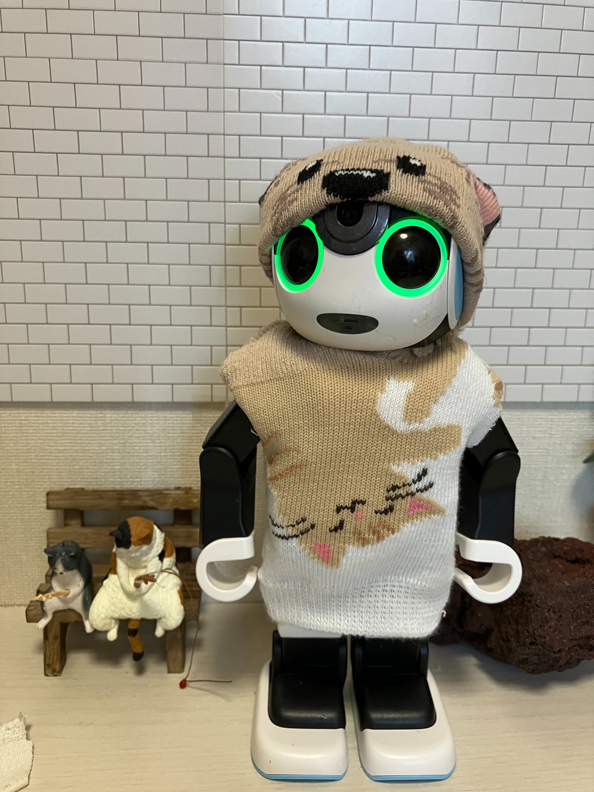 PAPOちゃんの新しい服👕でお着換え♪｜poporin