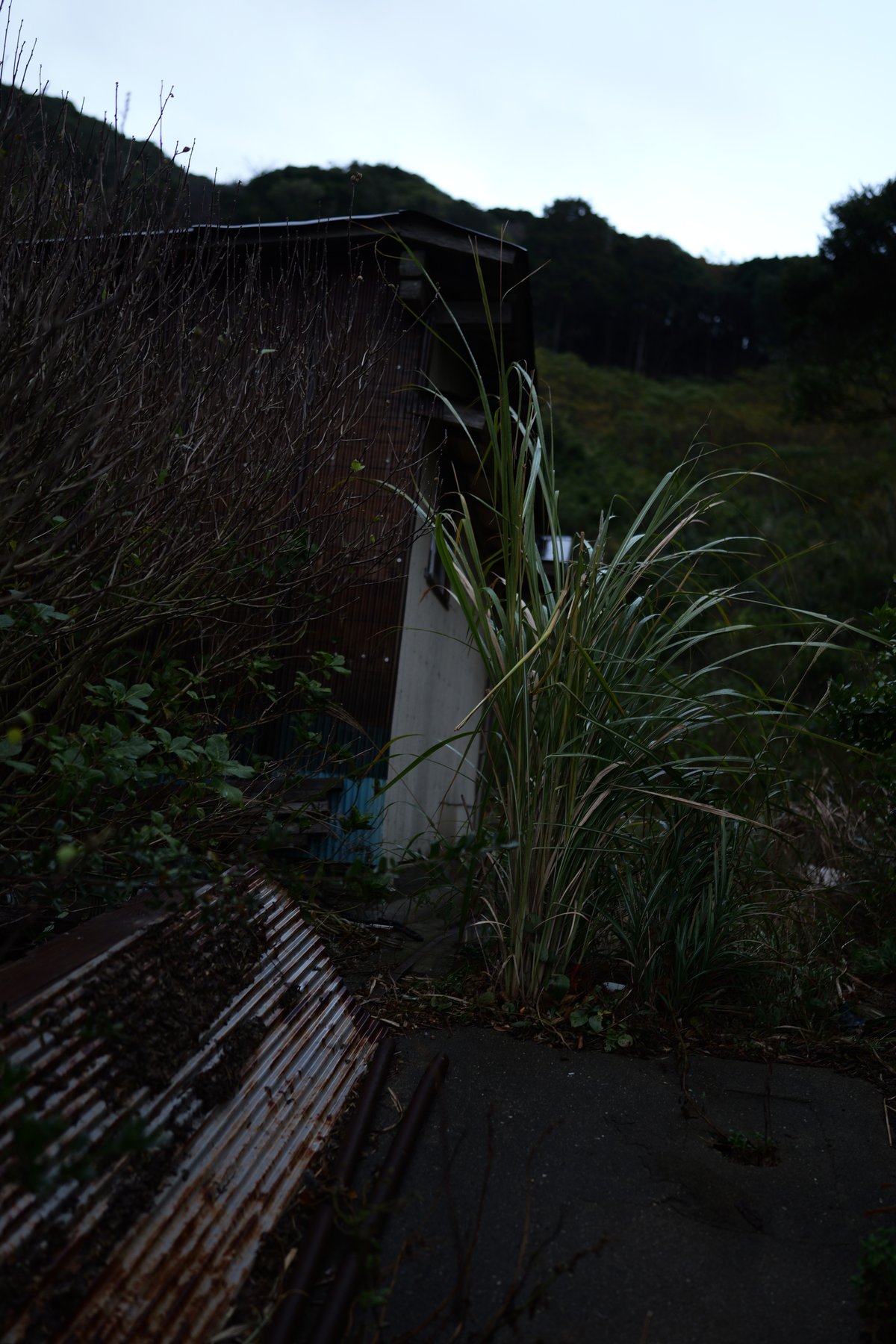 鳥羽の離島-菅島-｜バルバスバウ/Bulbous Bow