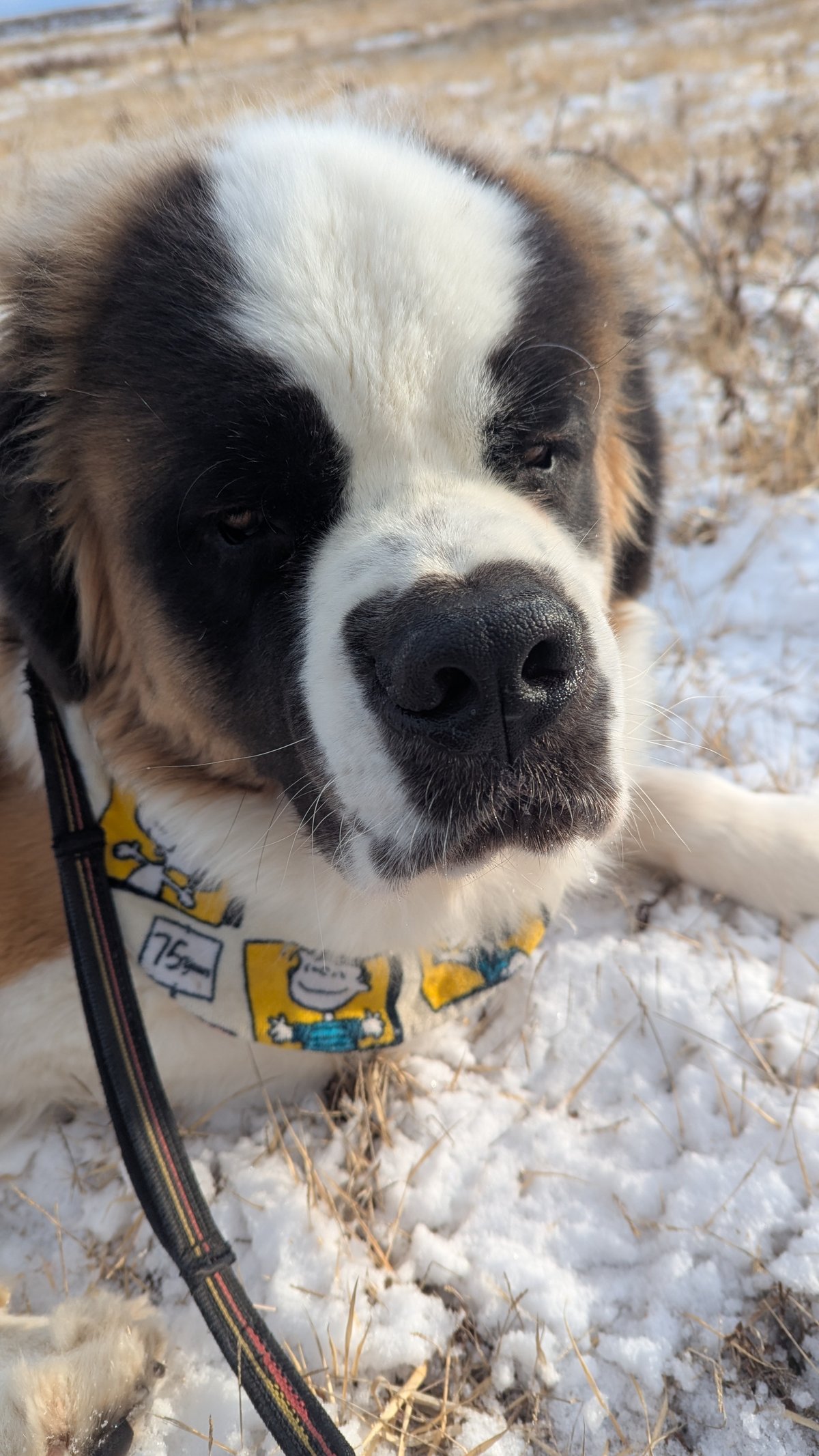 今日の記録｜tsutomu