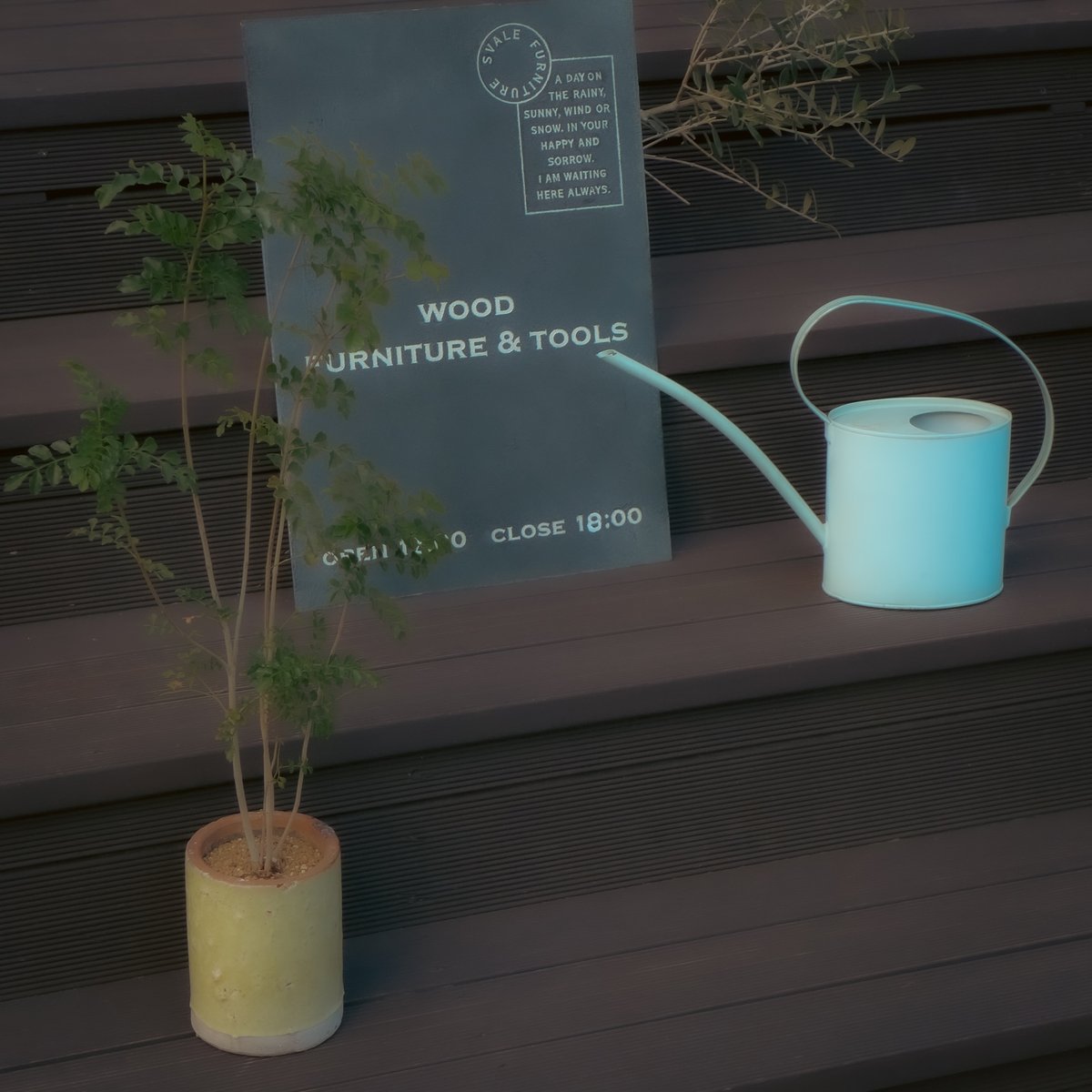 日々の平凡備忘録 260114｜Tomo INOUE