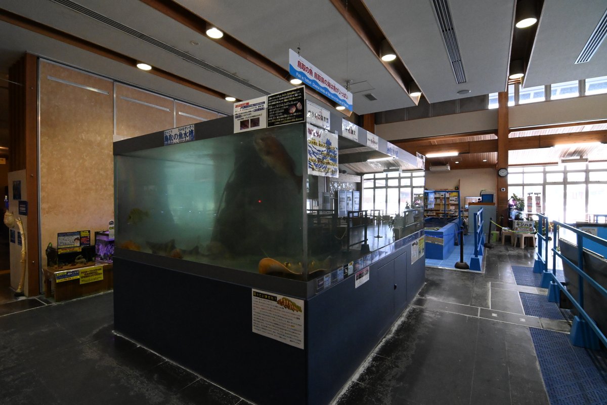 20260112_鳥取県立とっとり賀露かにっこ館【Nikon Z50IIと水族館】｜山ネズミ