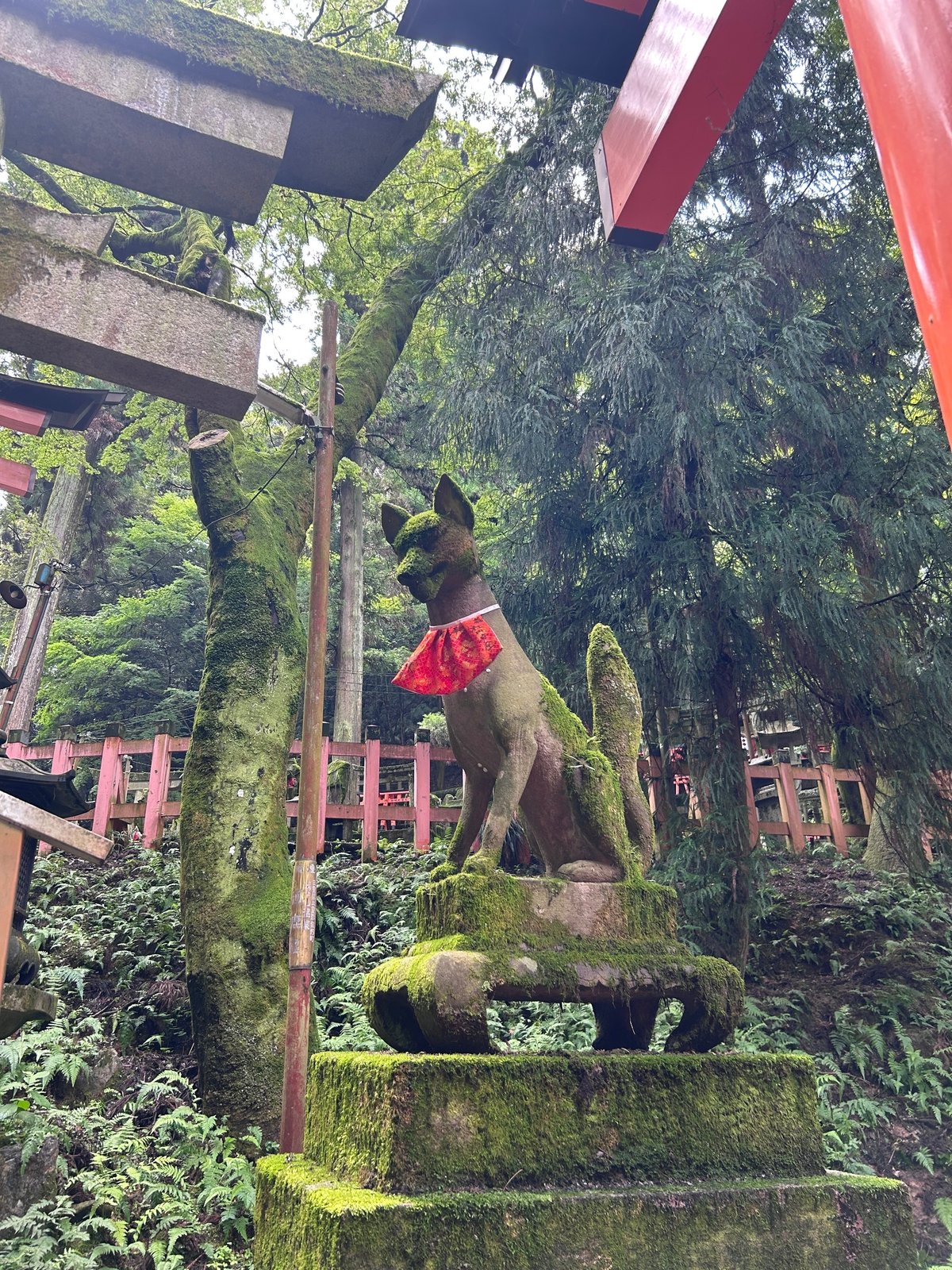 京都・伏見稲荷大社の稲荷山にのぼり、受験について考えてみた｜night owl