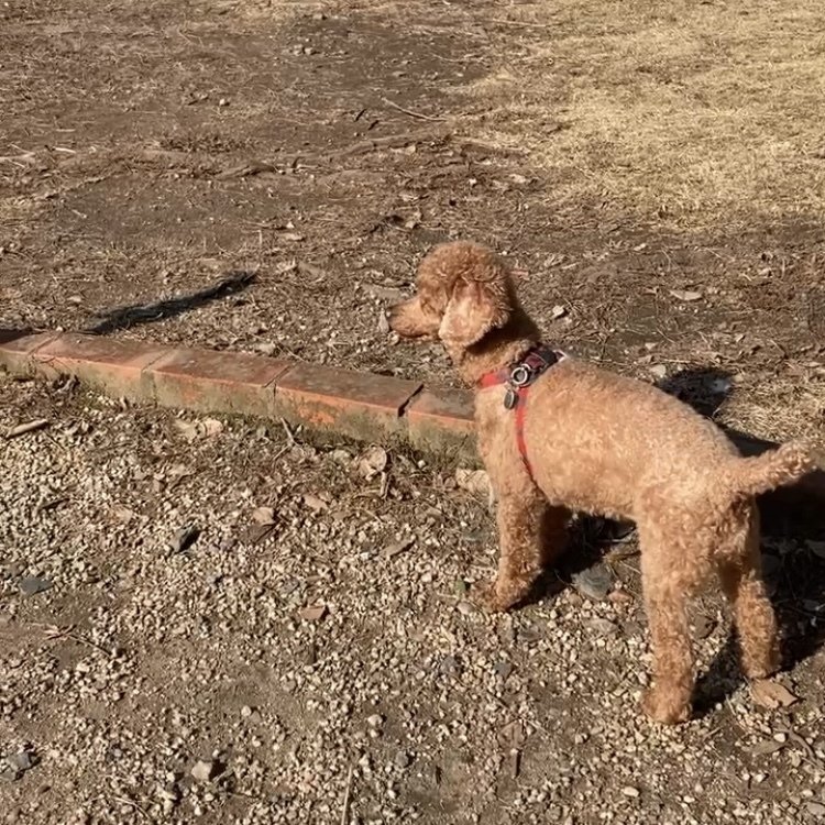 25年→26年 九州一周車中泊の旅3日目(2025年12月28日) 福岡→長崎｜Tatsuo Yamaguchi