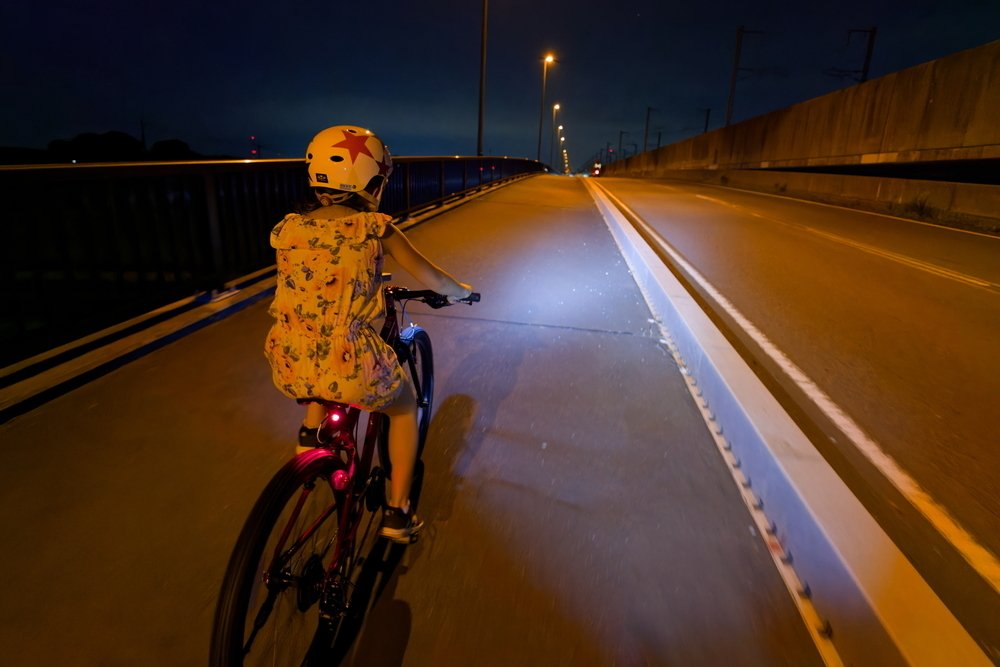 ゼブラストップ、そろそろ本気で意識してみませんか｜LumiXel