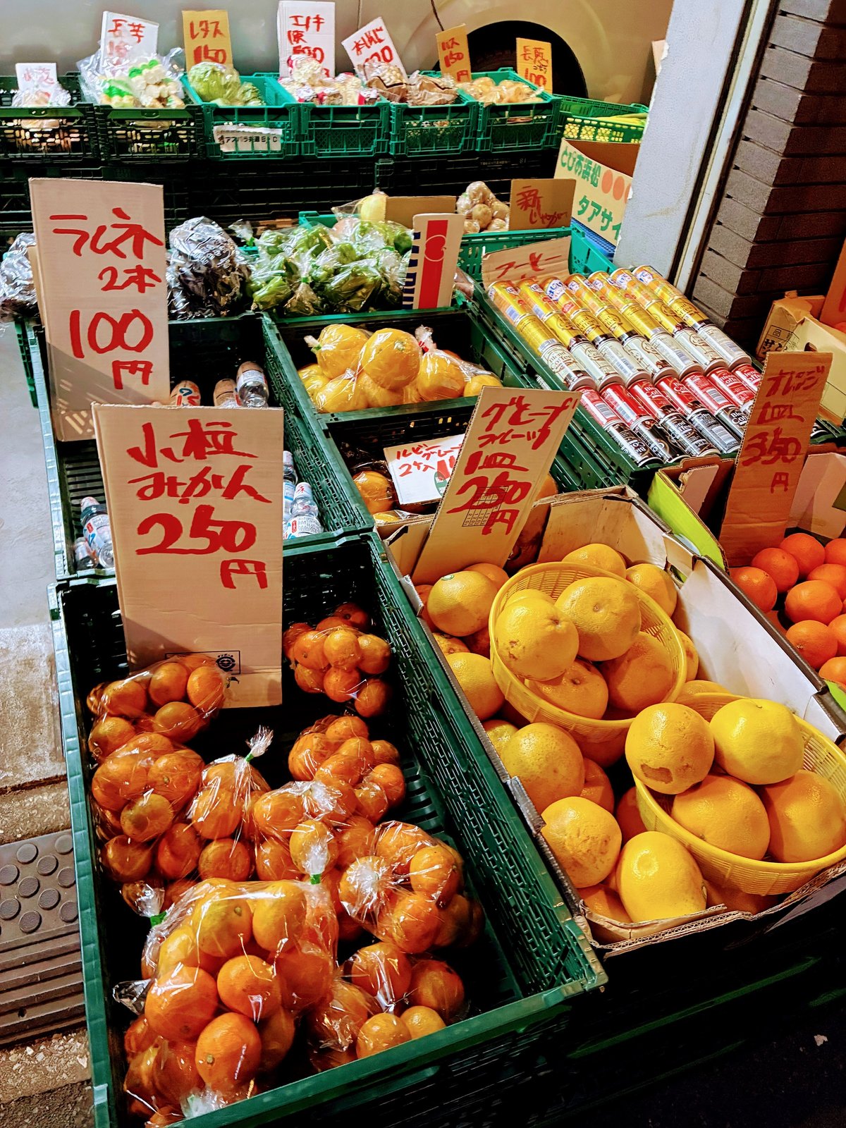 なが散歩（人形町、浅草橋、上野、秋葉原）202512｜yos yos