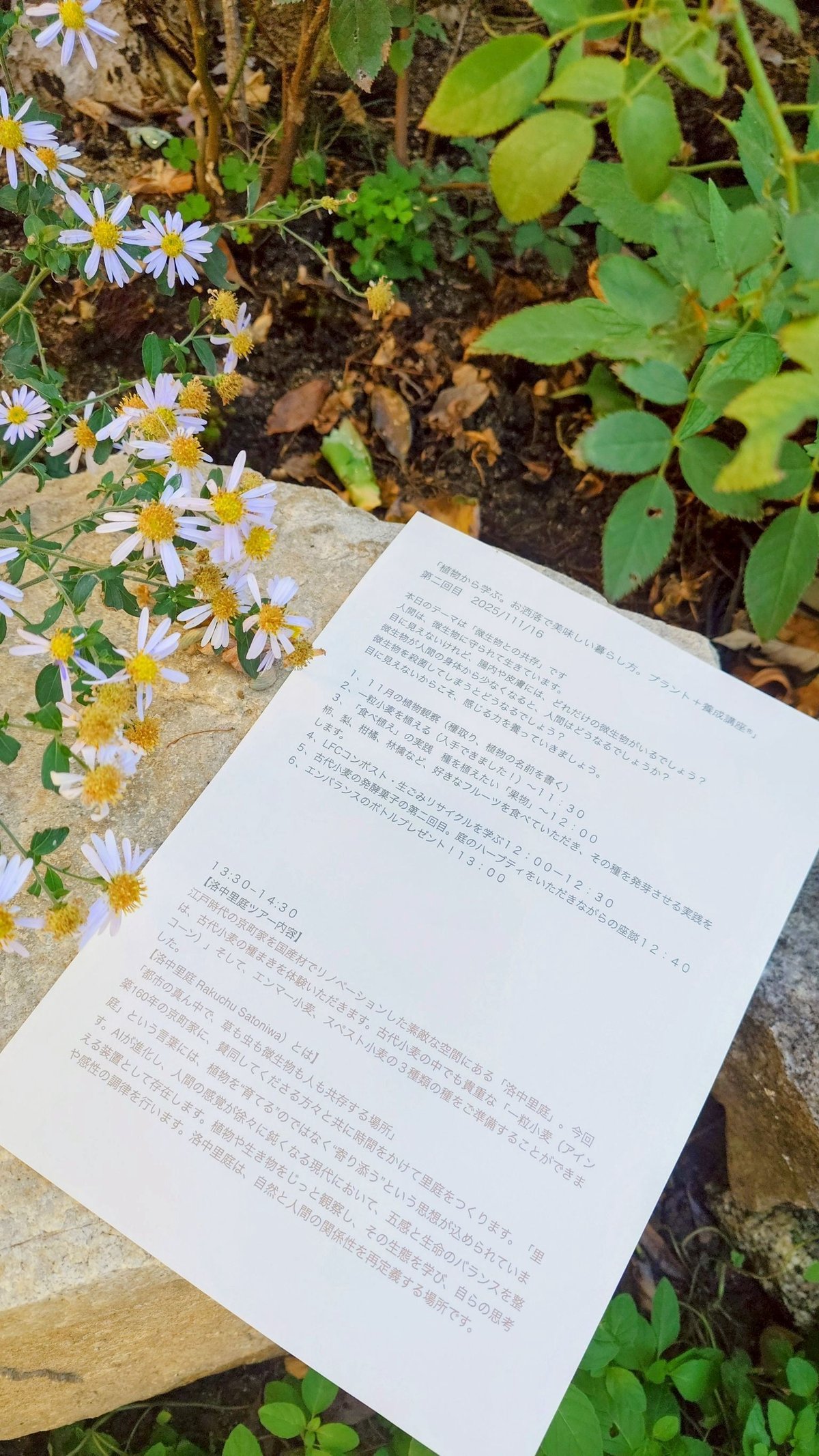 日本人が大切にしてきた智慧「植物との共生」｜Synergy Journal JAPAN