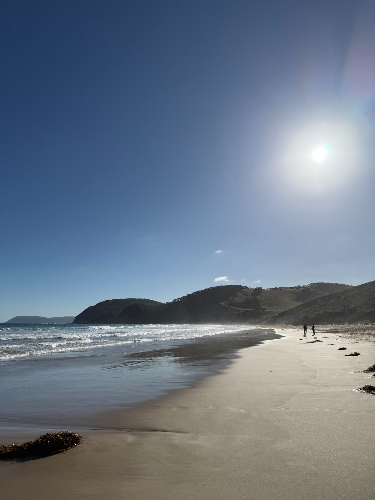 Great Ocean Road編【旅行記】｜ばび