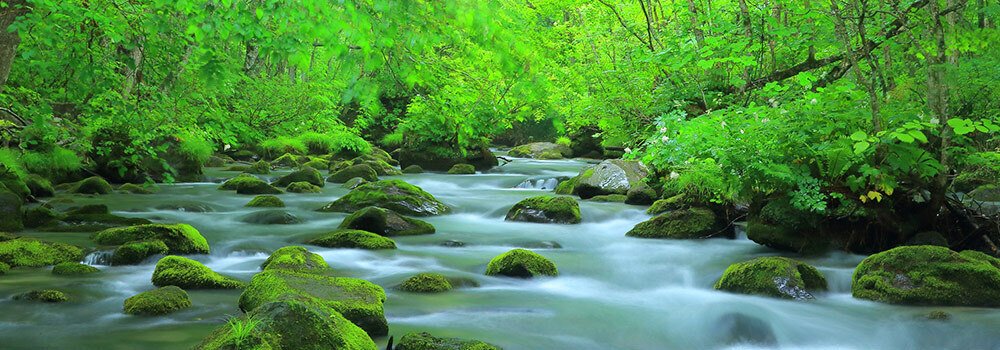 The Art of Shosa —Tohoku (東北): SHIRO+ Edition Edition｜SHIRO+ ｜ The Art ...