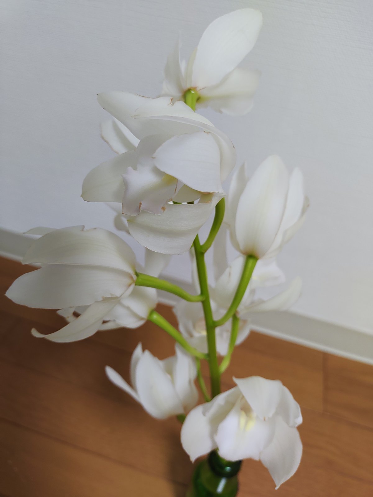 生活を追う｜Cello_shu