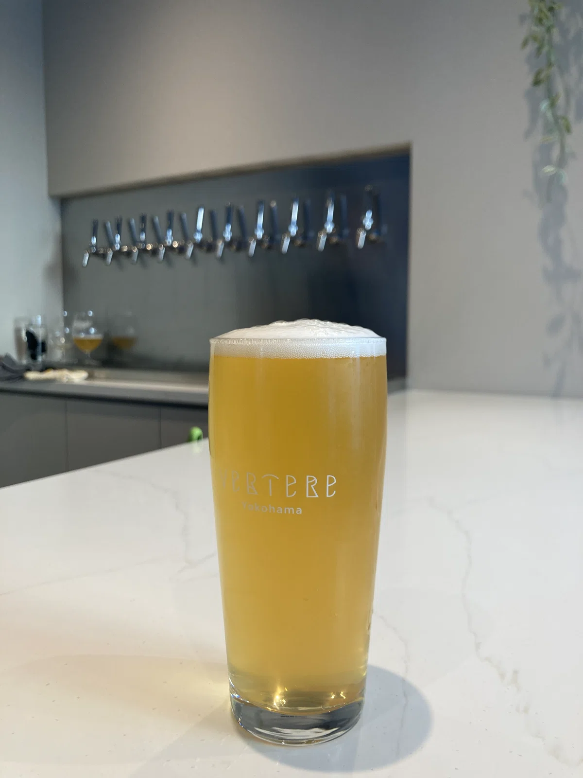 新店VERTERE Yokohama Taproom 行ってきた【2026/1/12】｜むさしはビールを愛してる