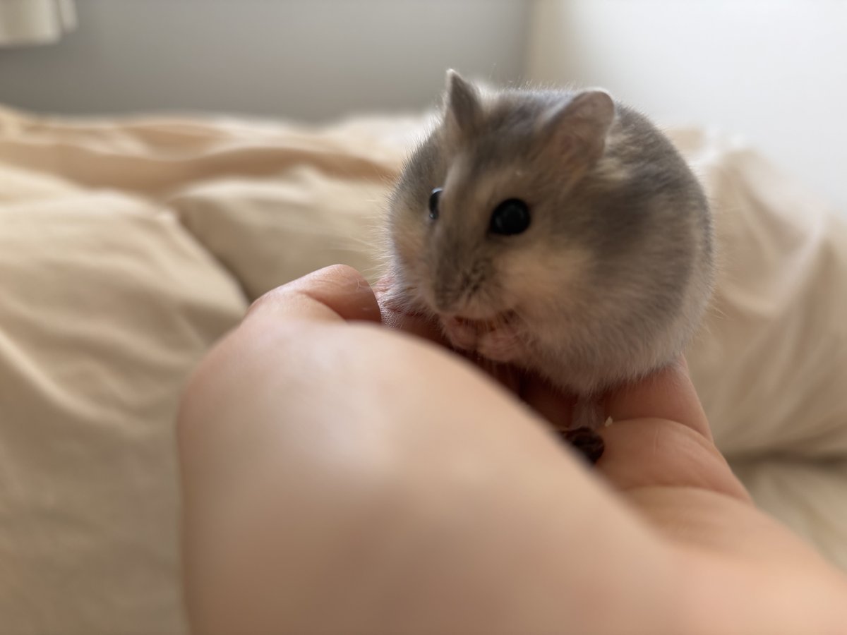 環境に慣れるまでの「1週間」と、2026年のはじまり｜Ohana RoOM