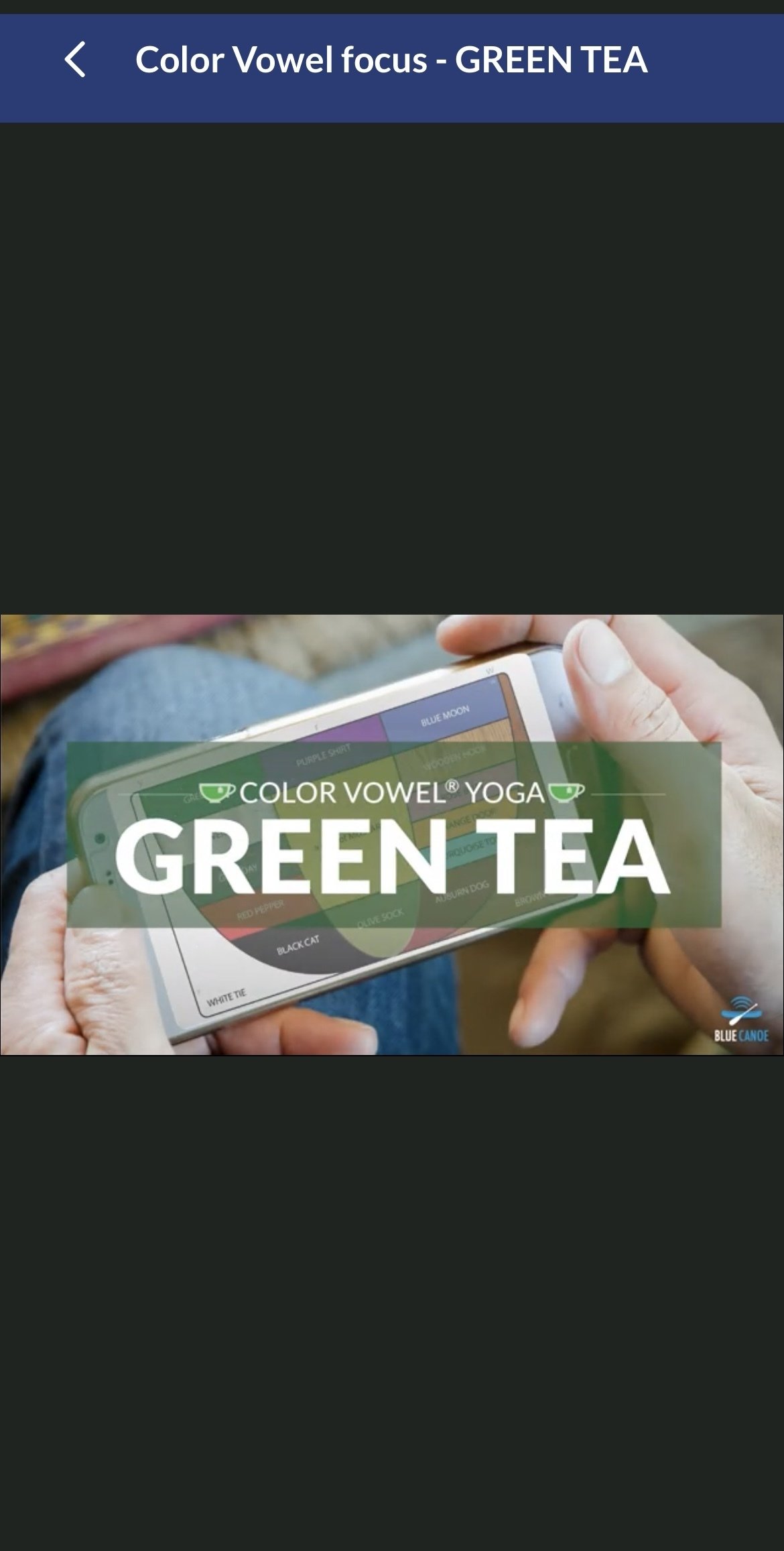 英語の発音改善法 Color Vowel®︎ Chart その3｜Nana-Tomi