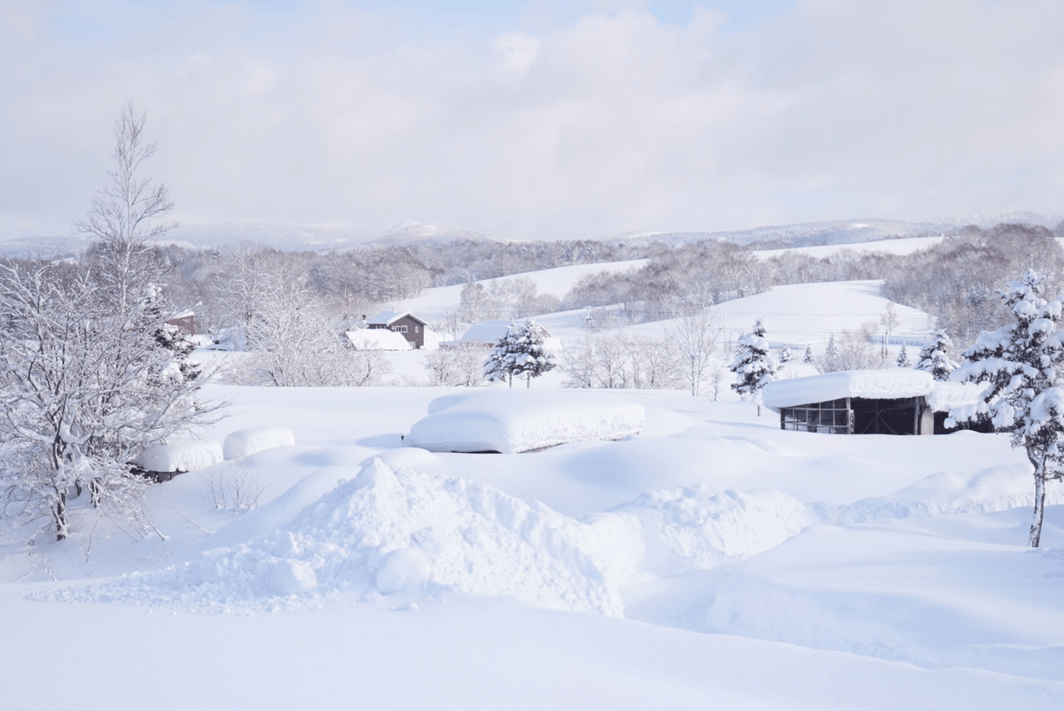 日本中の田舎町で、かなえたい夢がある｜おさつ