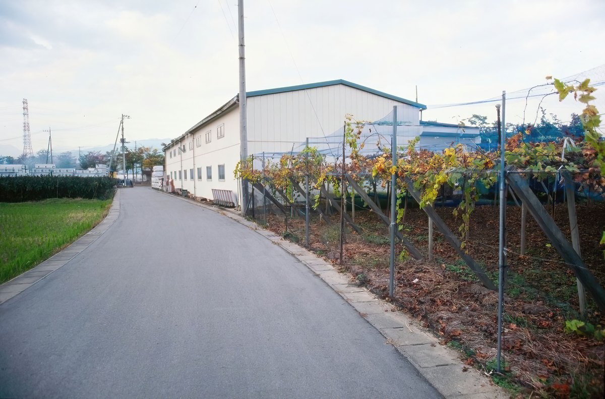 甲府宇宙人事件の現場｜フユキ／西川冬旗