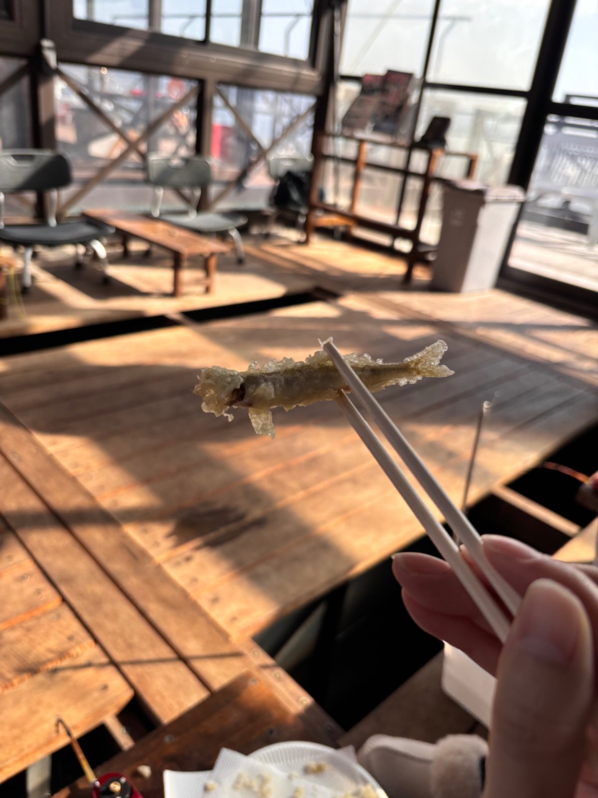 【旅log】諏訪湖でしっぽりワカサギ釣り｜ichi_graphy