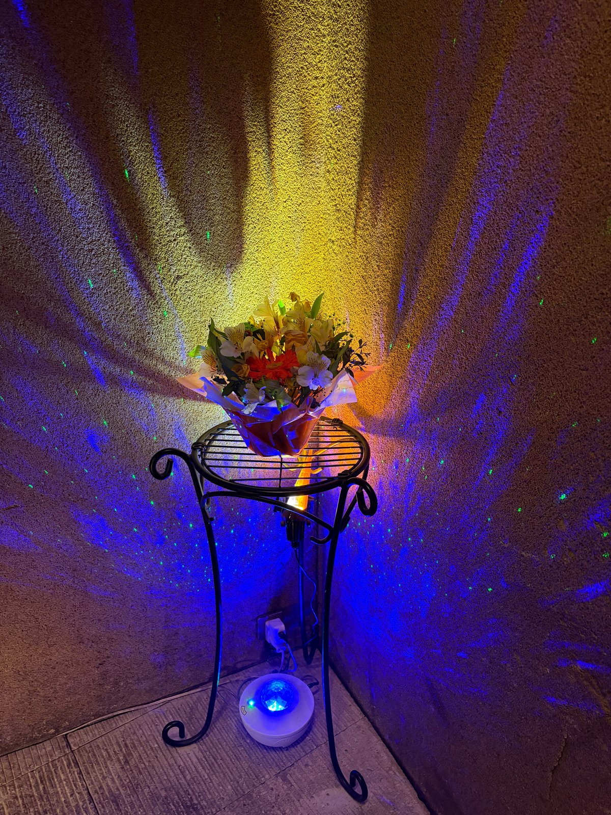 CHABOのKing Biscuit Time Friday Night DJ 南青山MANDALA 2026.01.23.｜Blue