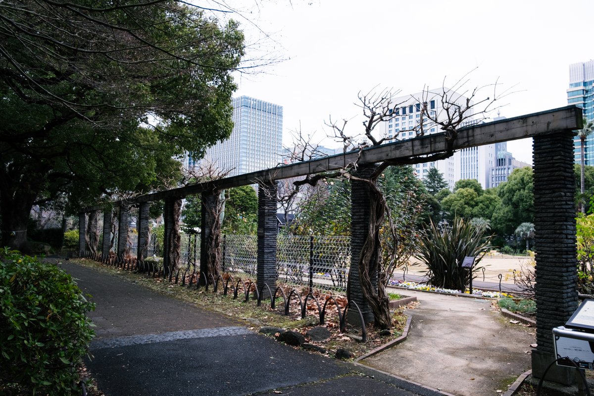 X-T3と師走の東京｜datenshi