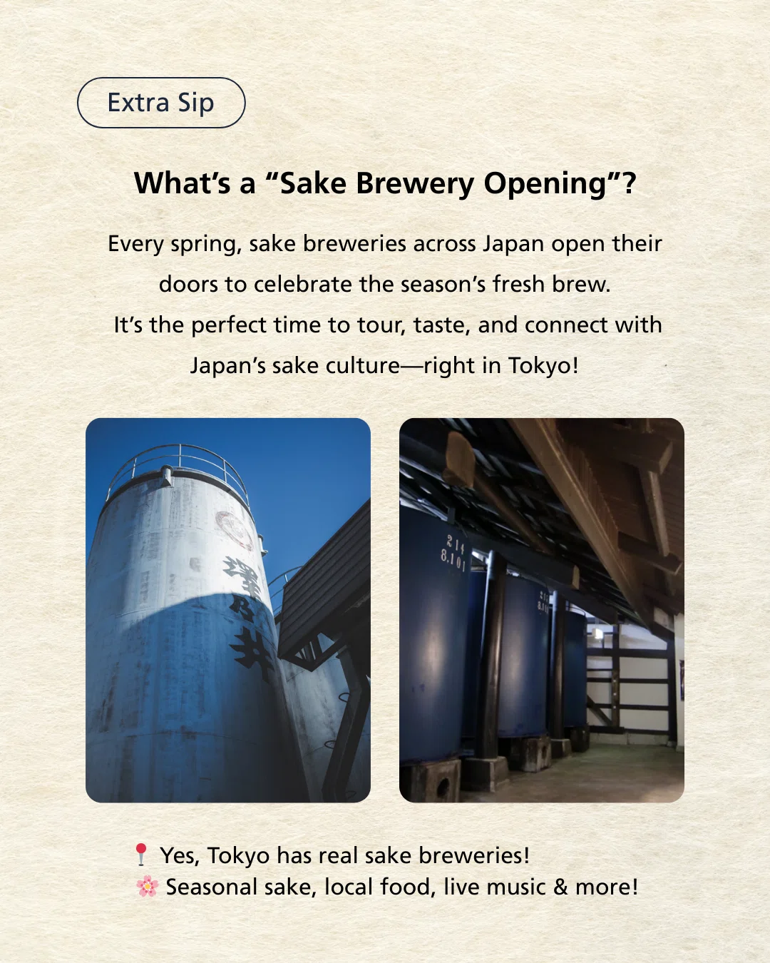 The Ultimate Japan Sake Guide: Best Types, Brands, and Where to Drink ...