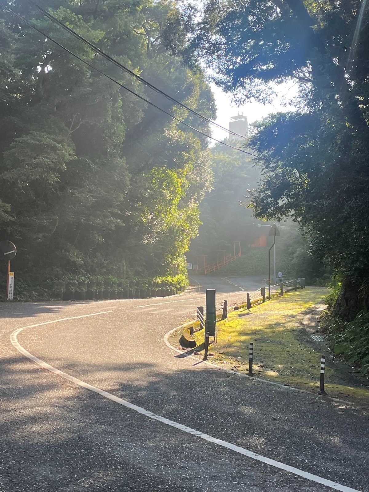 女1人ぶらっと巡り旅｜Mii