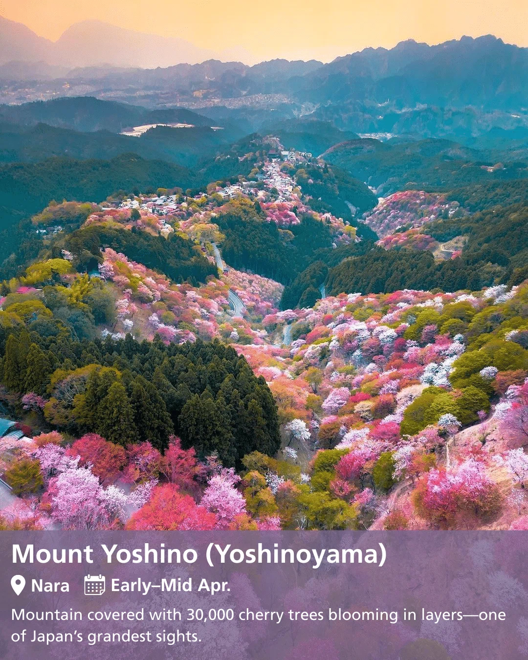 🌸 Top Cherry Blossom Spots in Japan (2026 Edition)｜JTI | Japan Travel ...