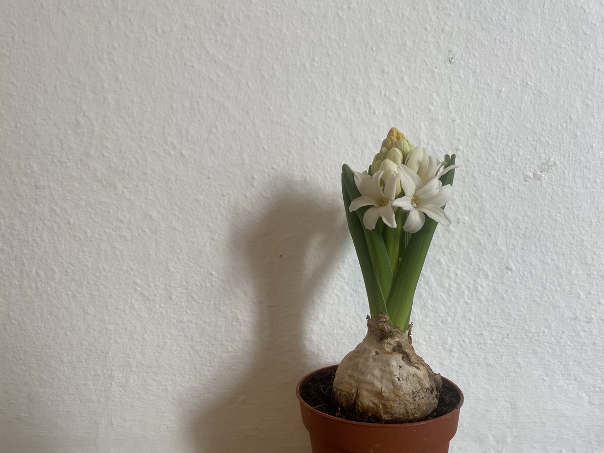 2026年 1月の振り返り｜好文亭