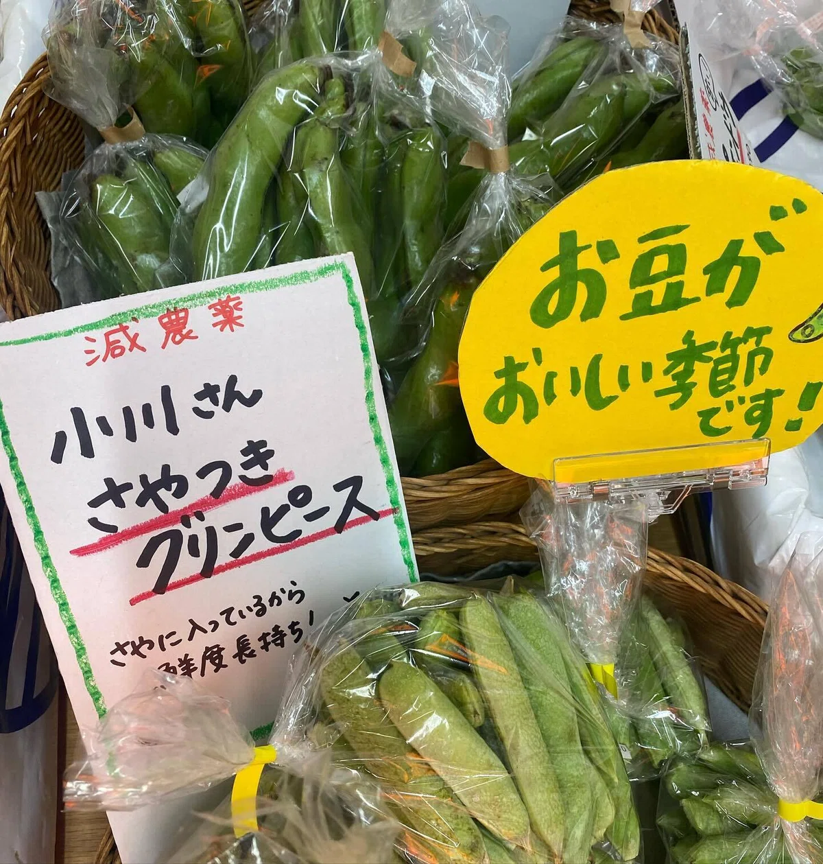 What Idera-san Connected: Tokushima and Tokyo, people and food ...