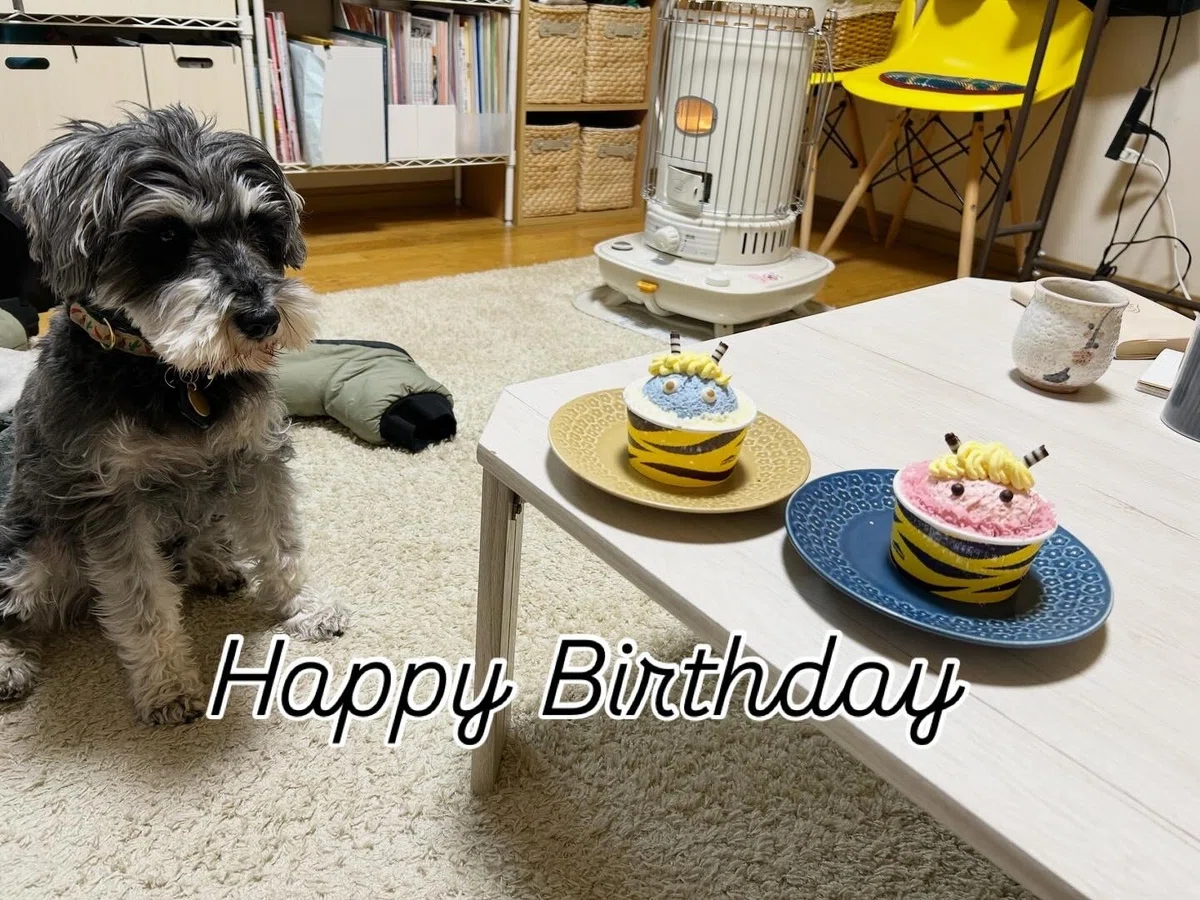 だいず4歳のお誕生日🎂 note16日目｜aki-goofy