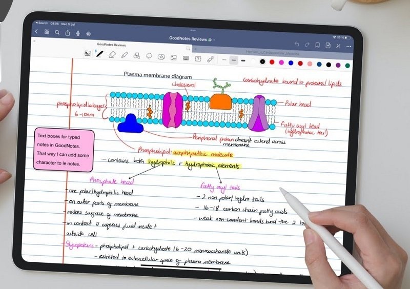 12 Best Note Taking apps for iPad in 2026｜pendisplay