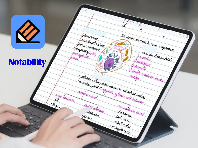 12 Best Note Taking apps for iPad in 2026｜pendisplay