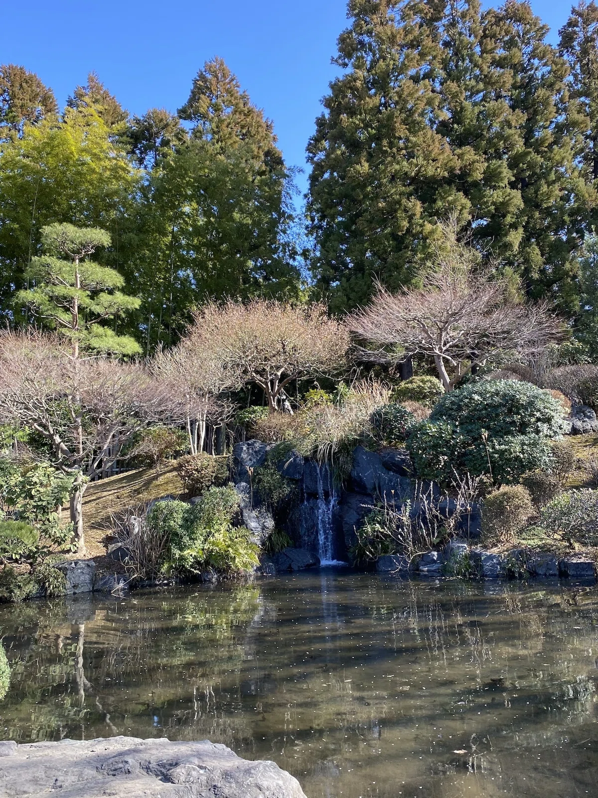 【2月27日】「ポンコツからの〜ごほうび時間 」x2 所沢航空記念公園で憩う｜あとりえOPATO川野ヒロミ