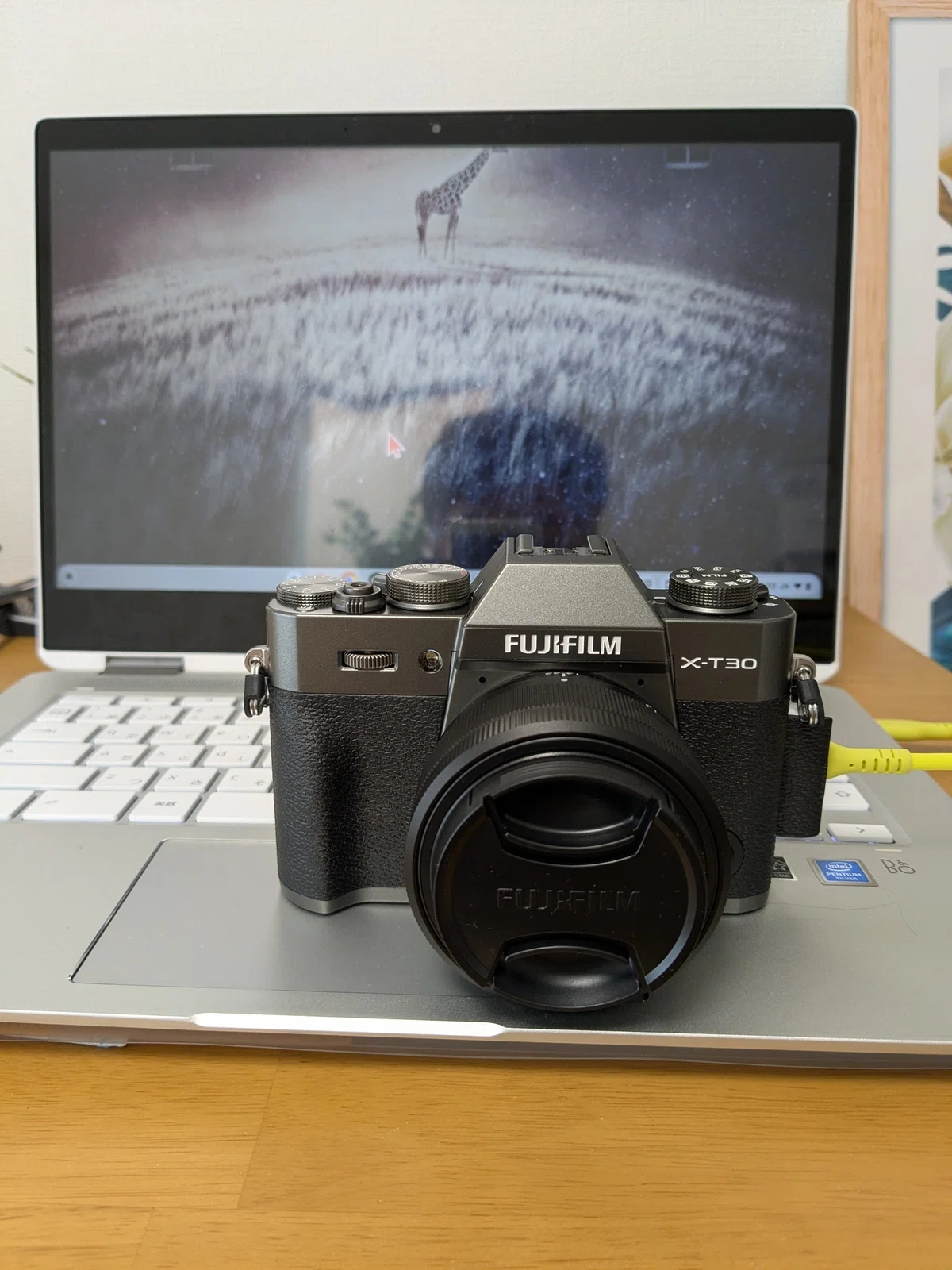 【アルバム】FUJIFILM X-T30Ⅲ買っちゃった！〜今日からよろしくね♪〜｜あずきミルク