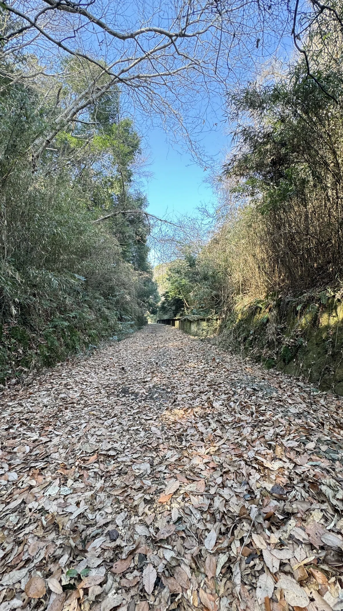 常磐亭偕楽のhotchi potch紀行【No.6】 「旧鹿島鉄道線跡を巡る〜前半〜(3)」｜アトリエ タクシビ