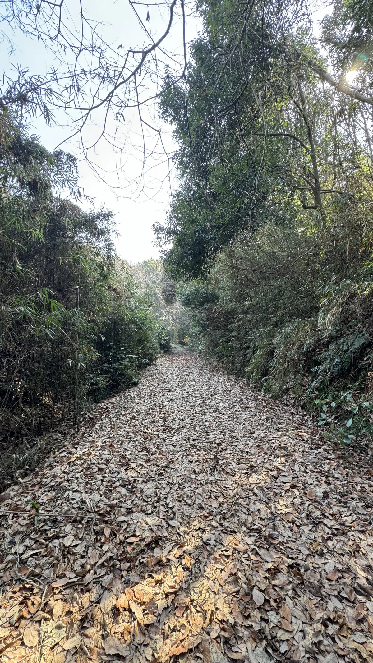 常磐亭偕楽のhotchi potch紀行【No.6】 「旧鹿島鉄道線跡を巡る〜前半〜(3)」｜アトリエ タクシビ