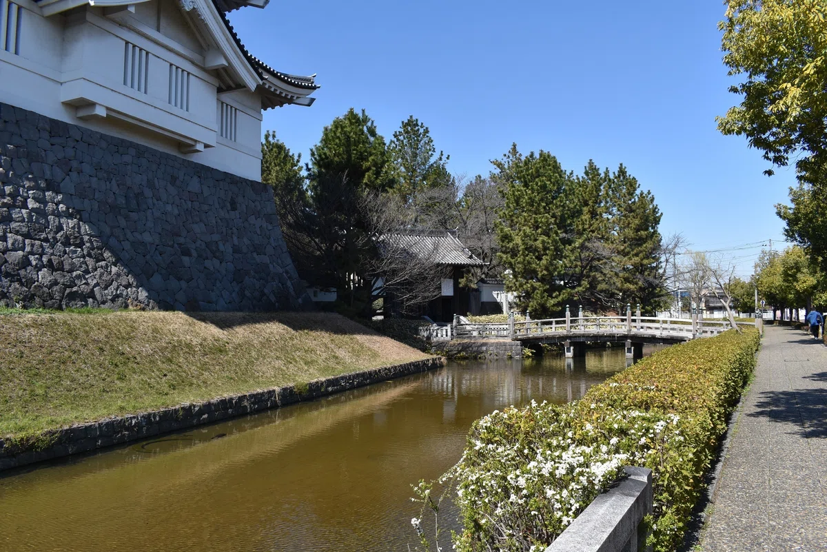 Let's visit the Gyoda City Museum! [Local Museum]｜行田市教育委員会