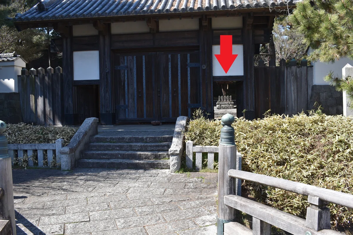 Let's visit the Gyoda City Museum! [Local Museum]｜行田市教育委員会