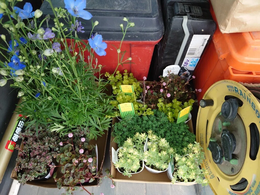 豊かさ｜Garden Labo 花園