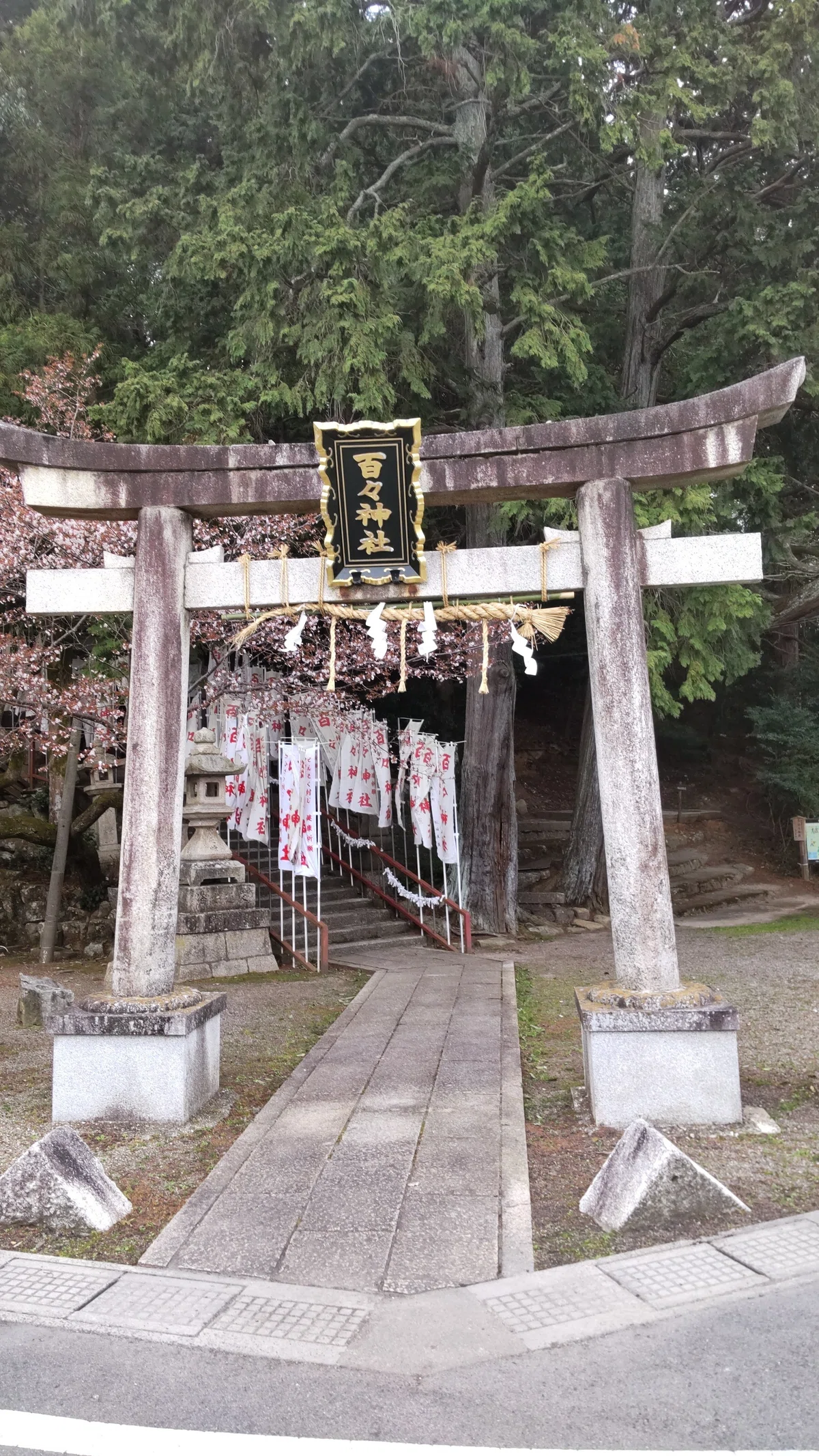 Hiking Mount Hachiman: Showjōbakama｜街中 古民家 一人暮らしの hiko