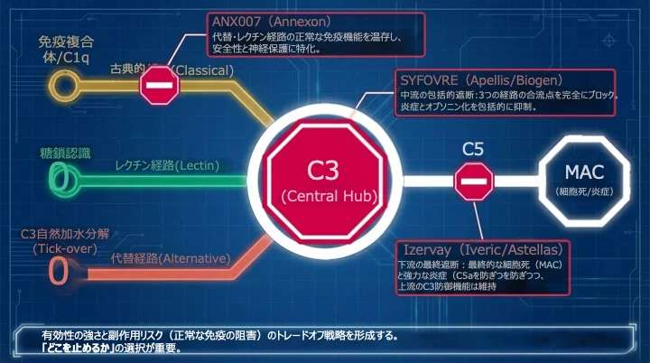 バイオジェン × アペリス × アステラス。萎縮型AMDの“次世代治療”が日本に来る｜柳 靖雄 / 横浜市大客員教授