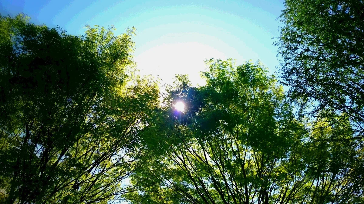 応援｜Garden Labo 花園